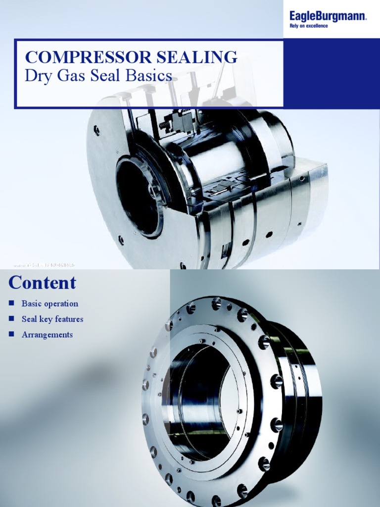 Compressor Sealing: Dry Gas Seal Basics | PDF | Gases | Friction