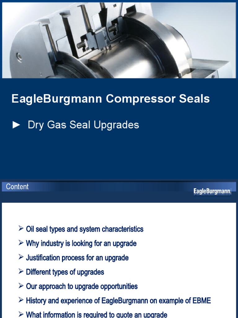 Eagleburgmann Compressor Seals: Dry Gas Seal Upgrades | PDF | Bearing ...