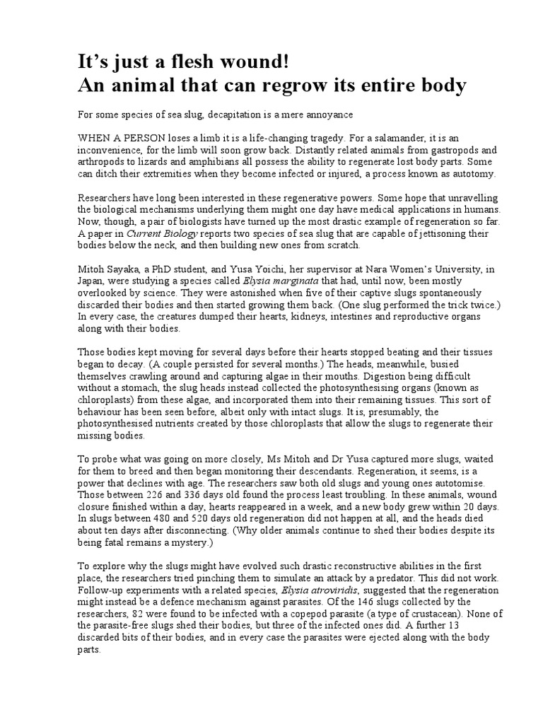 It's Just A Flesh Wound! | PDF | Regeneration (Biology) | Biology