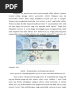 Tatalaksana Terapi Pneumonia Anak PNPK IDAI Referensi | PDF