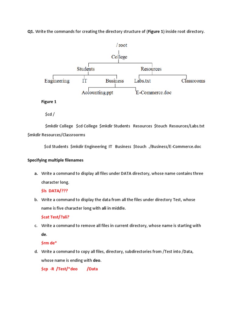 Solved Questions of Unix Ch2 and Ch3 | Download Free PDF | Directory (Computing) | Filename