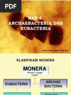 Eubacteria Dan Archaebacteria Pdf