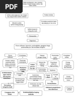 Pathway Patofisiologi Myalgia | PDF