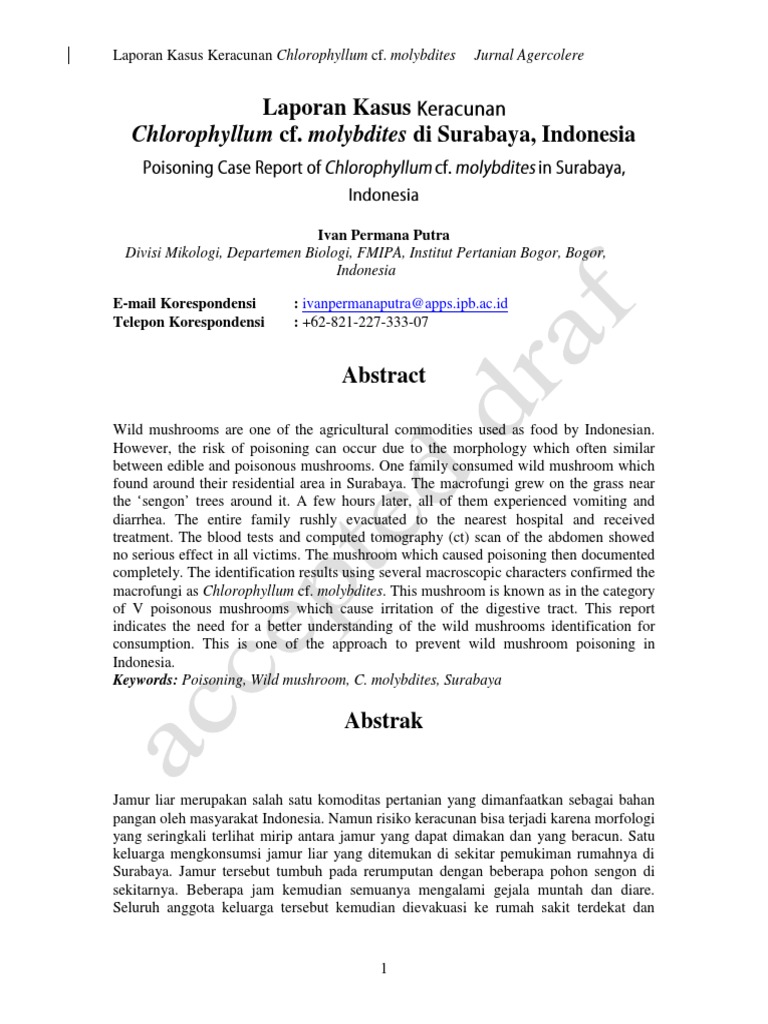 120-Article Text-747-1-10-20210225 | PDF