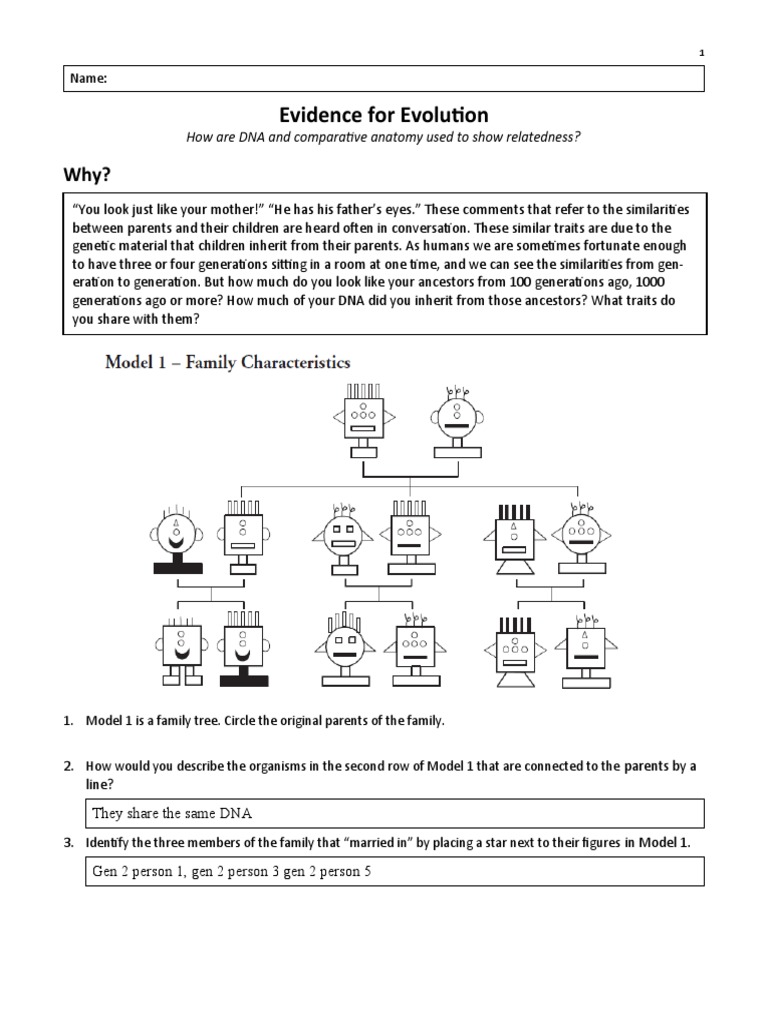 Evidence For Evolution: How Are DNA and Comparative Anatomy Used To ...