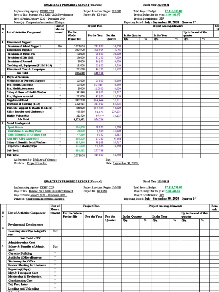 Quarterly Progress Report Format | PDF | Health Care
