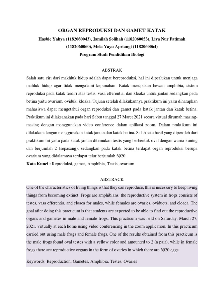 Kelompok1 - Laprak Organ Reproduksi Dan Gamet Katak-1 | PDF