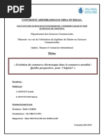 Pfe (E-COMMERCE AU MAROC) 555 | PDF