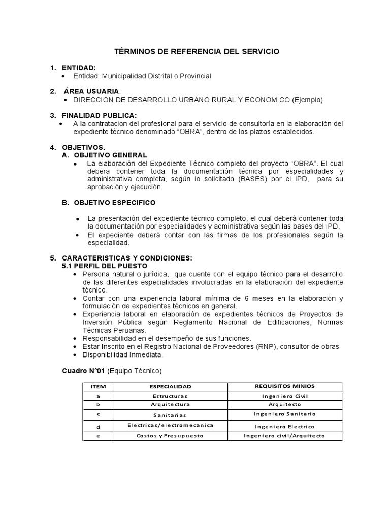 Ejemplos de TDR | PDF | Presupuesto | Diseño