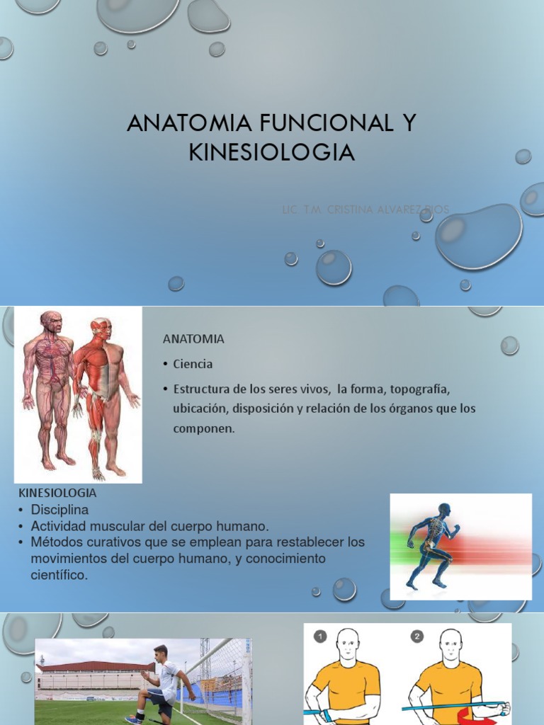 Introduccion A La Anatomia Funcional | PDF | Músculo | Articulación