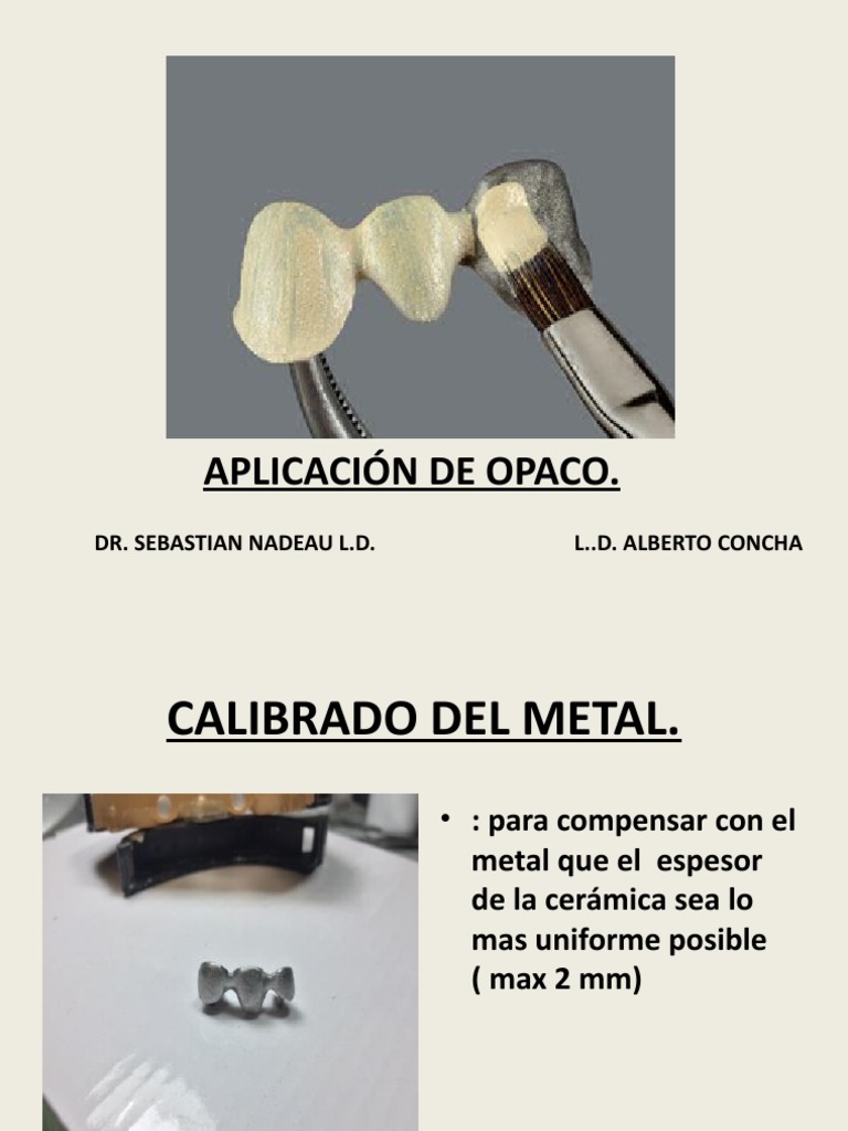 Aplicación de Opaco | PDF