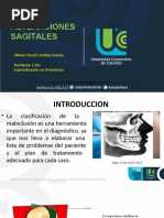 Legado de Edward Angle en Ortodoncia | PDF | Odontología | Ortodoncia
