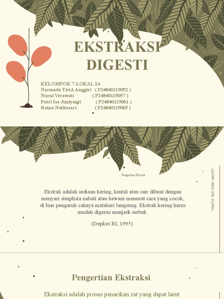 Digesti | PDF
