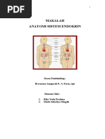 Makalah Sistem Kardiovaskuler | PDF