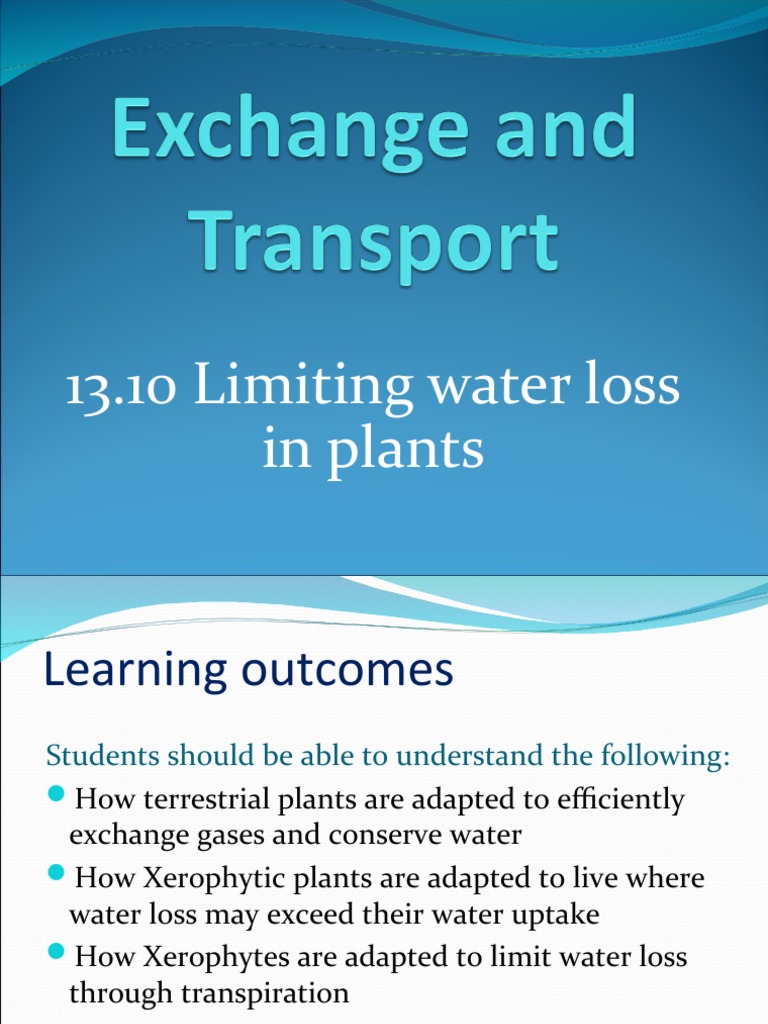 13.10 Limiting Water Loss in Plants | PDF | Stoma | Leaf
