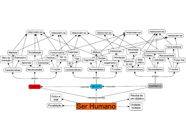 Mapa Conceitual - Ser Humano | PDF