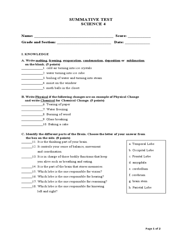 Summative Test - Science 4 | PDF | Brain | Organ (Anatomy)