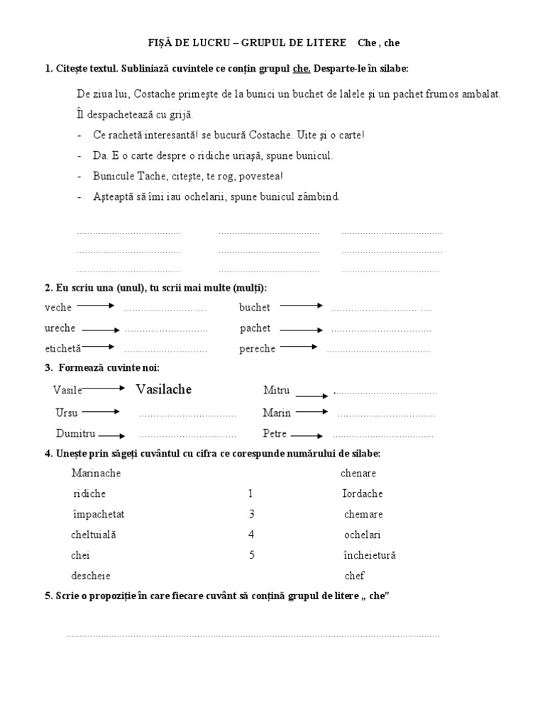 Fisa Che | PDF