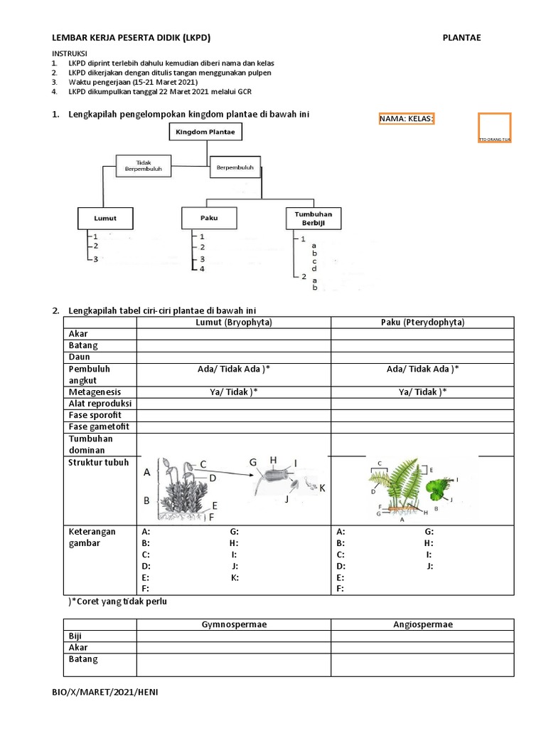LKPD Plantae | PDF