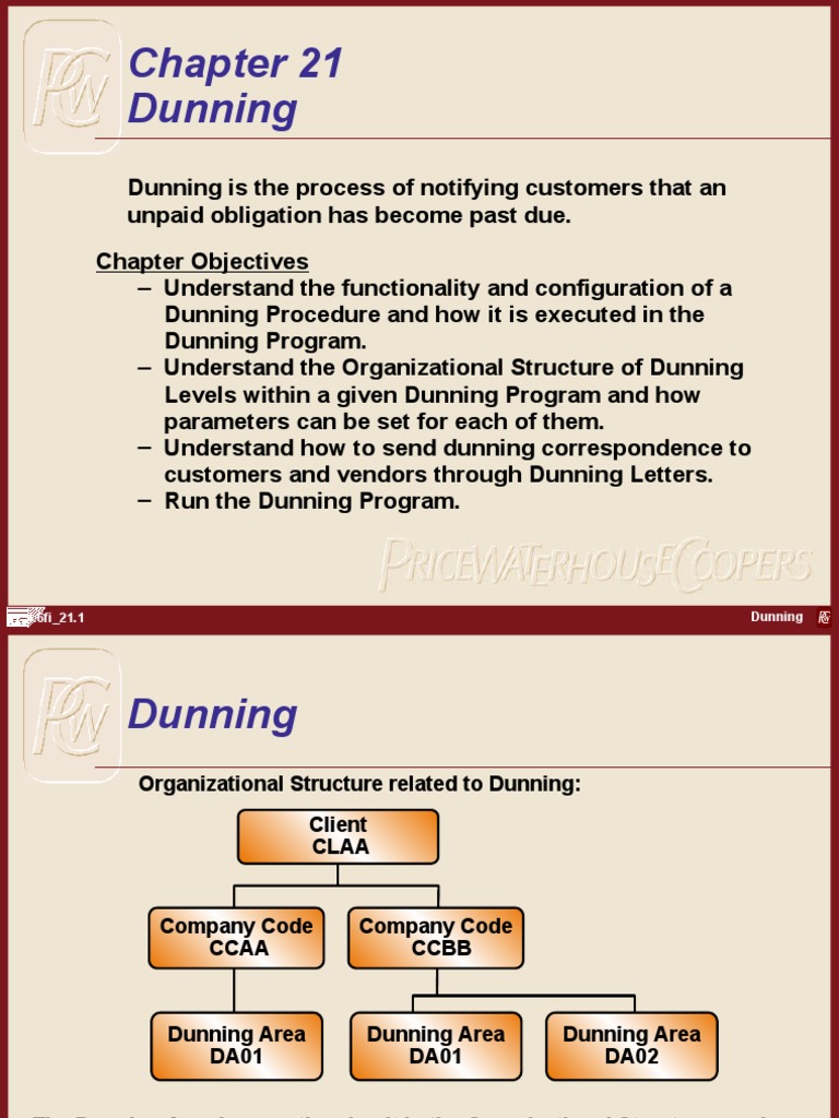 Configuring and Executing a Dunning Procedure in SAP | PDF | Information Technology Management ...