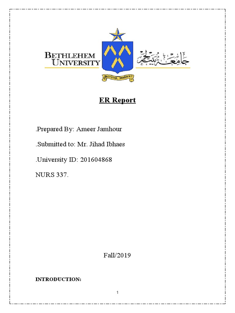 ER Report: Prepared By: Ameer Jamhour - Submitted To: Mr. Jihad Ibhaes ...