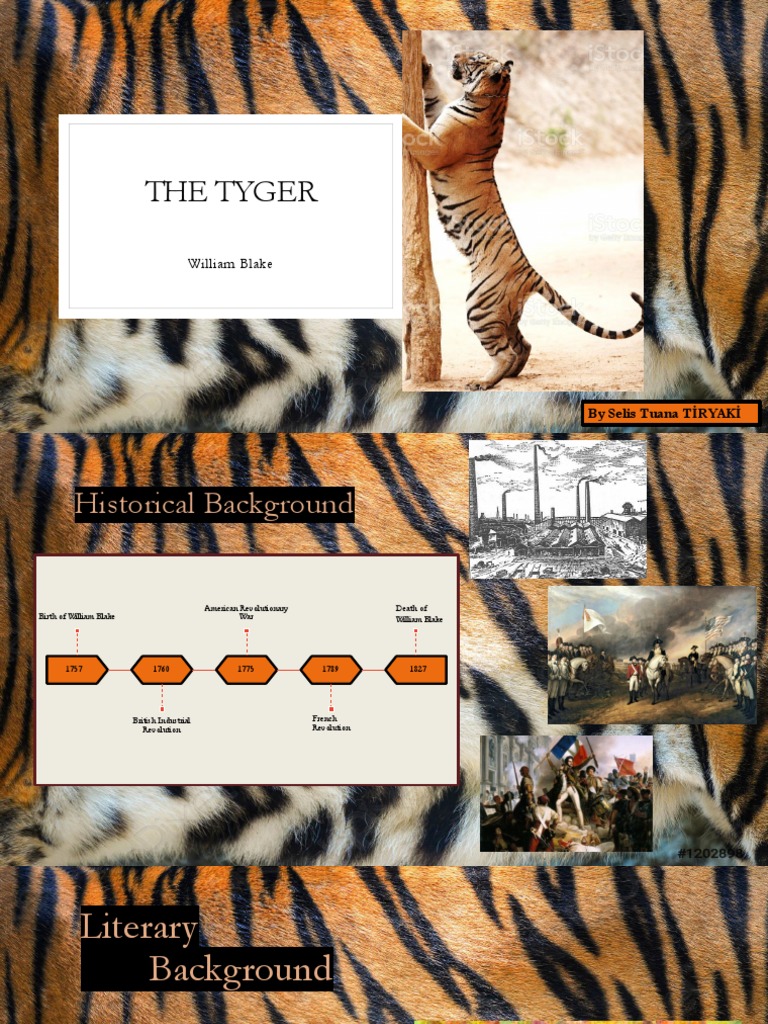 "The Tyger" Nature Theme | PDF | William Blake | Creator Deity