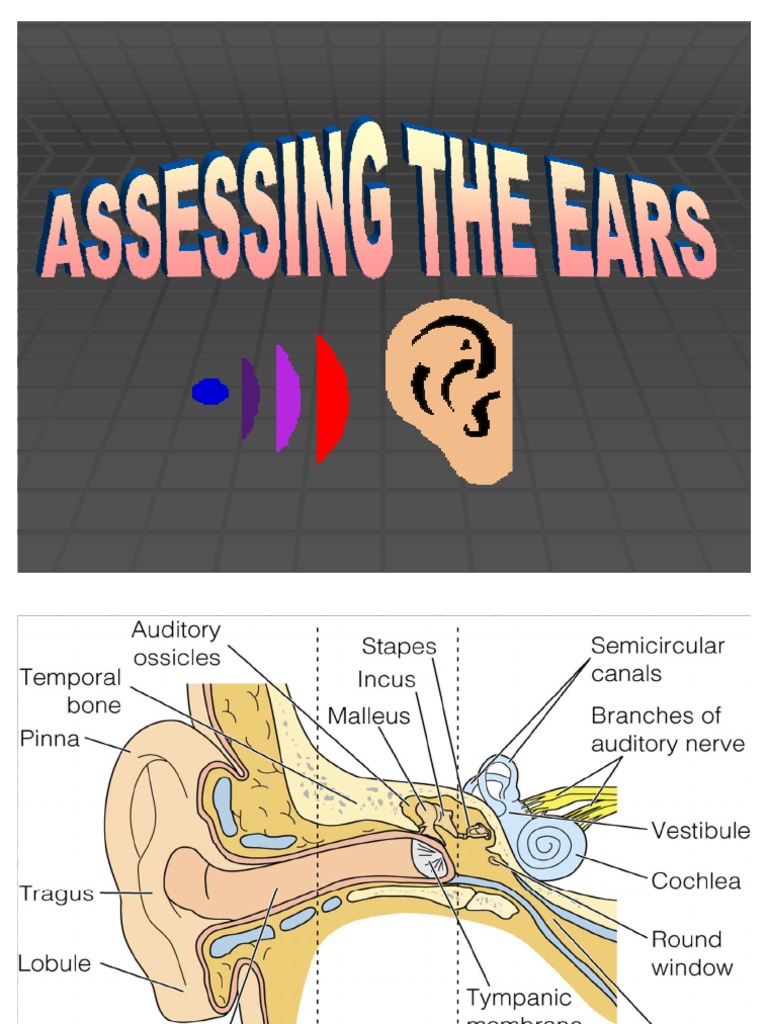 ASSESSING THE EARS | Ear | Auditory System | Free 30-day Trial | Scribd