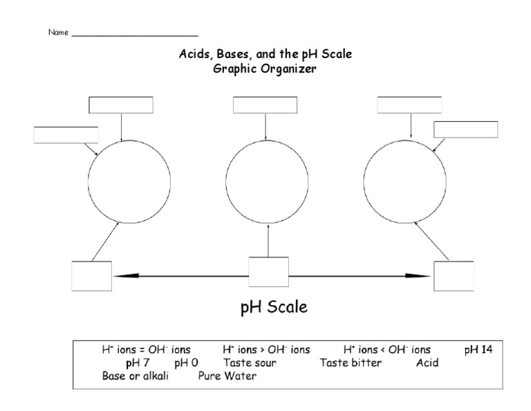 Acids Bases PH Graphic Organizer