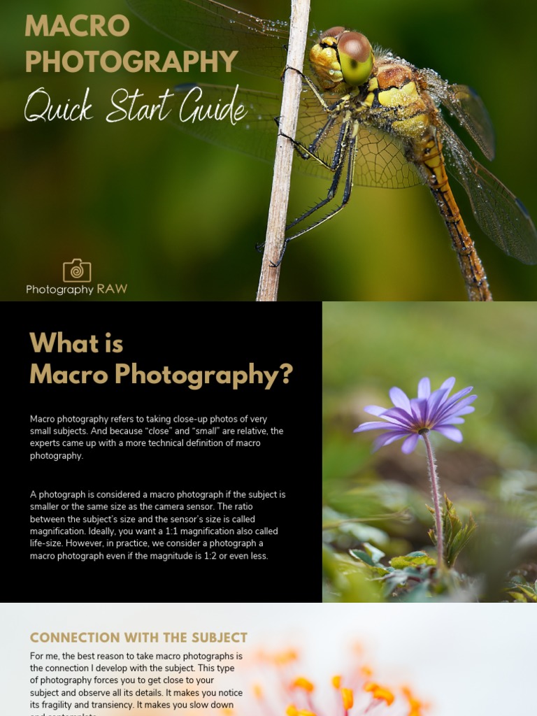 Macro Photography Quick Start Guide | PDF | Home & Garden
