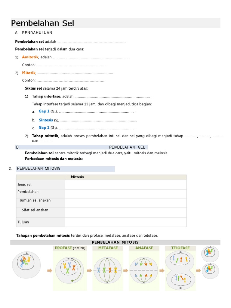 Modul Pembelahan Sel 1 Untuk Xii | PDF