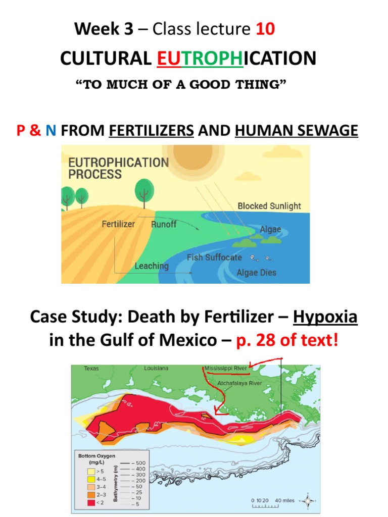Cultural Eutrophication Explained | PDF | Eutrophication | Combined Sewer