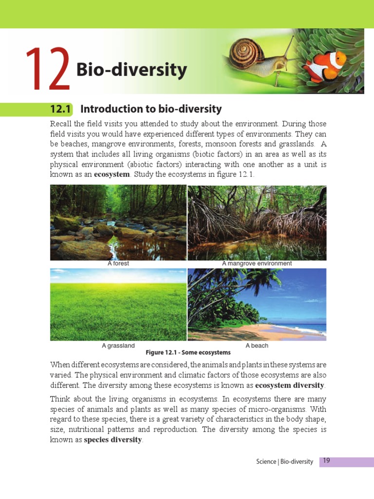 12.1 Introduction To Bio-Diversity | PDF | Biodiversity | Lagoon