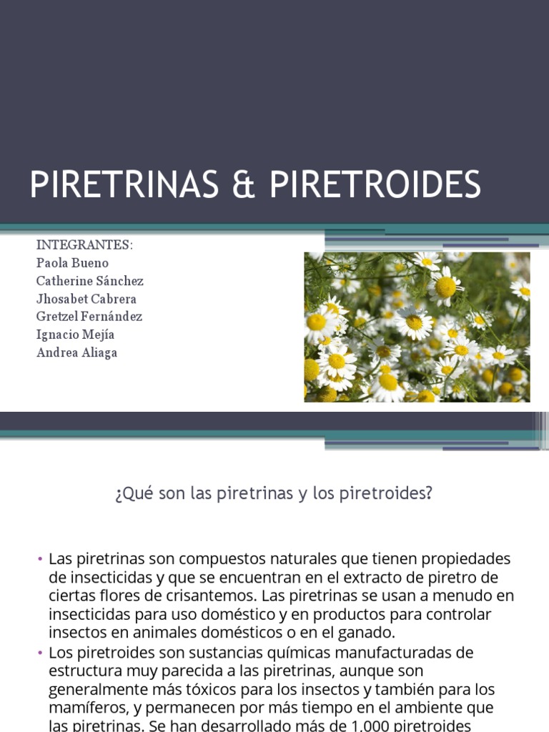 Piretrinas & Piretroides | PDF | Toxicología | Especialidades Medicas