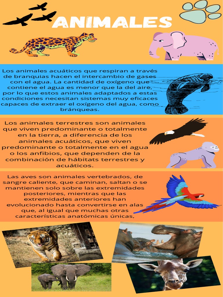 Características de Animales Acuáticos y Terrestres | PDF | Ciencia y ...