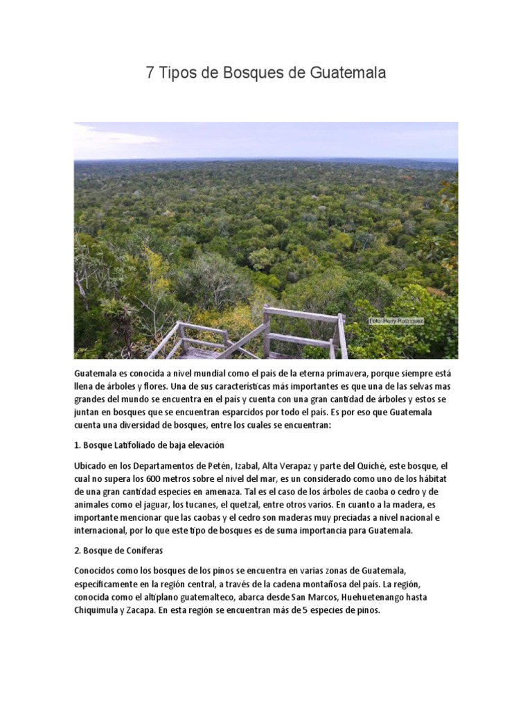 7 Tipos de Bosques de Guatemala | PDF | Los bosques | Guatemala