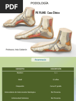 Pie Talo, Pie Varo, Valgo, y Pie Plano | PDF | Pie | Tobillo