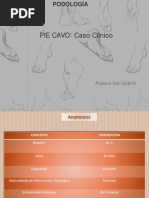 Linea de Feiss, Linea de Helbing | PDF | Pie | Anatomía humana