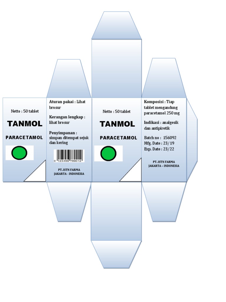 Kemasan Paracetamol | PDF