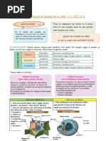Teoria Celular y La Celula | PDF | Citoplasma | Biología Celular)