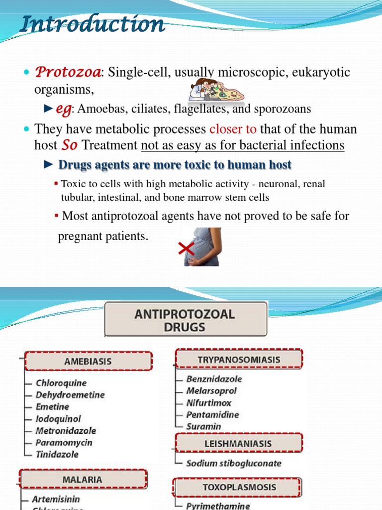 9 - Antiprotozoal Drugs | PDF | Malaria | Plasmodium Falciparum