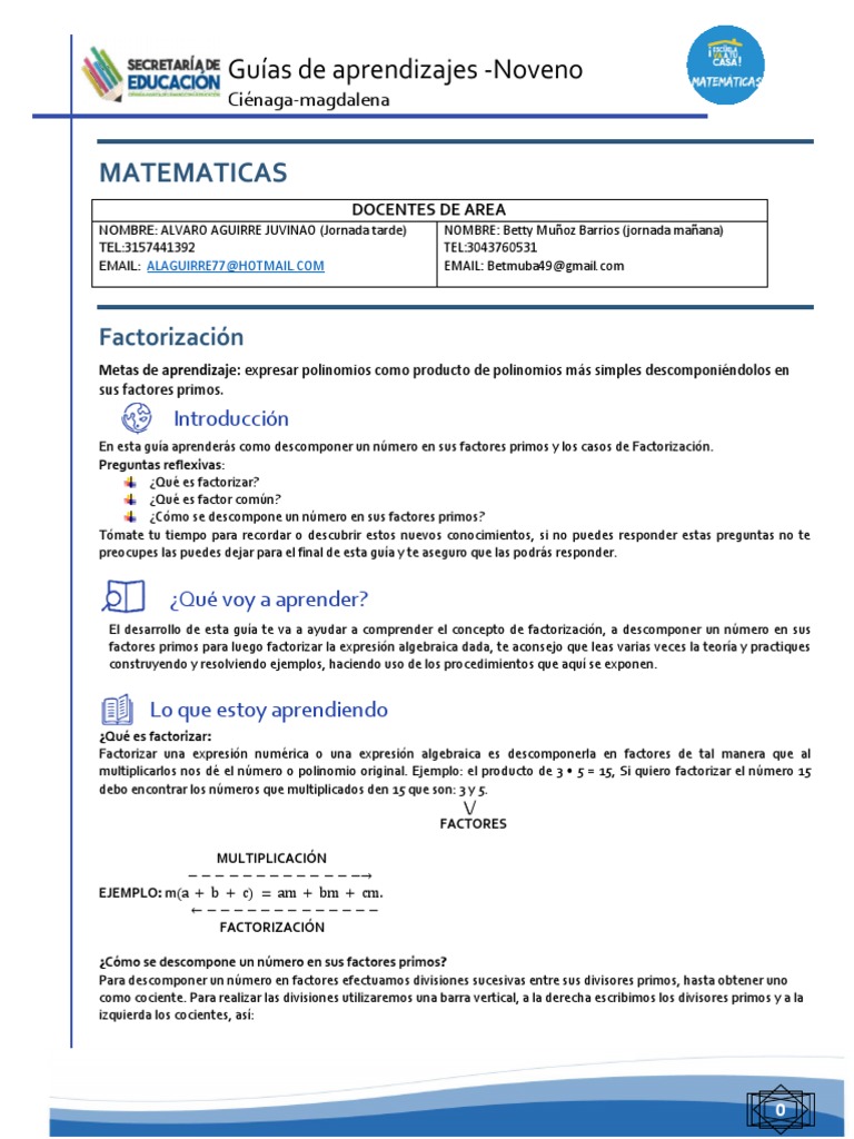 Matematicas Noveno | PDF | Factorización | Número primo
