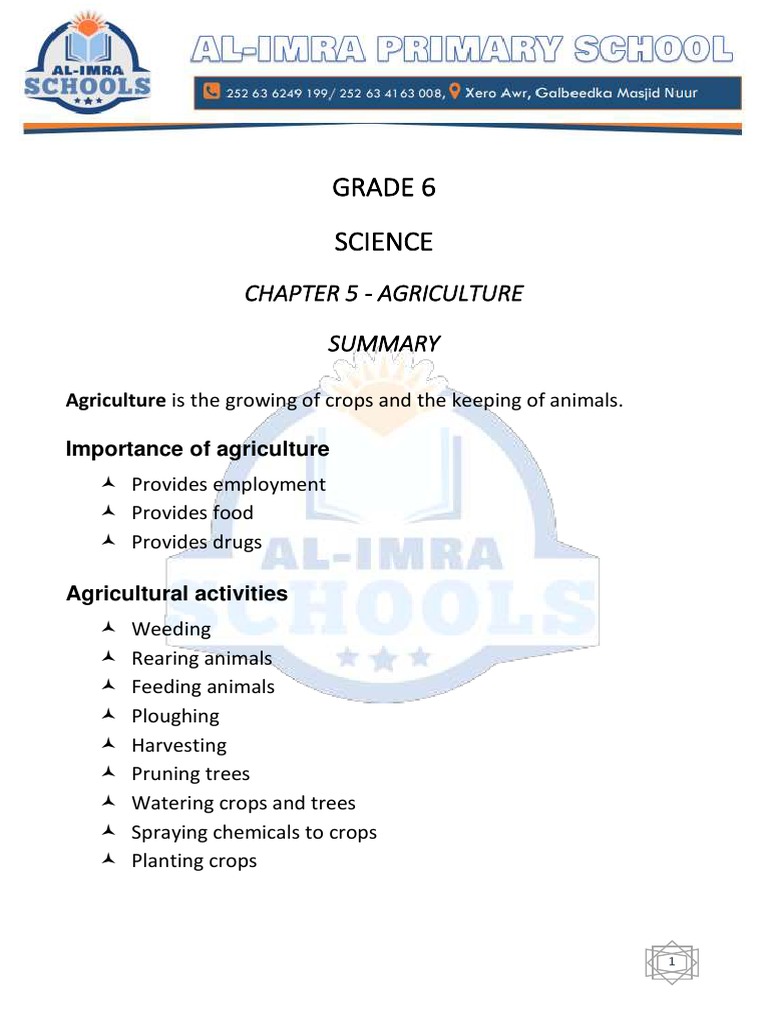 Grade 6 - Chapter 5 Summary | PDF | Weed | Agriculture