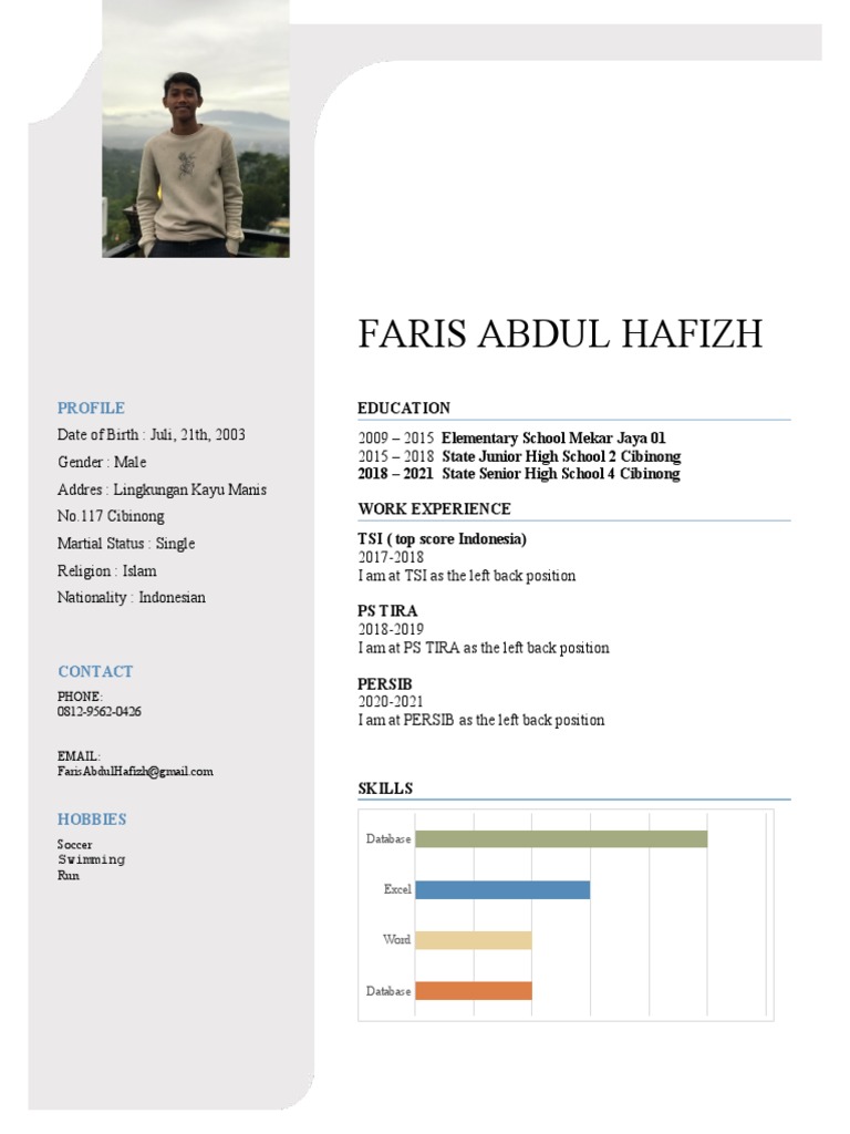 CV Faris | PDF