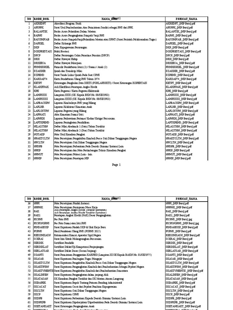 Format Penamaan File DOCUDigital | PDF