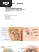 Gans Sensory Organization Performance (SOP) Test | PDF | Vertigo ...