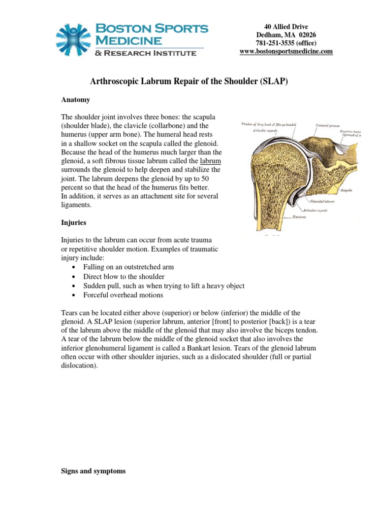 Arthroscopic Labrum Repair of The Shoulder (SLAP) : Anatomy | PDF ...