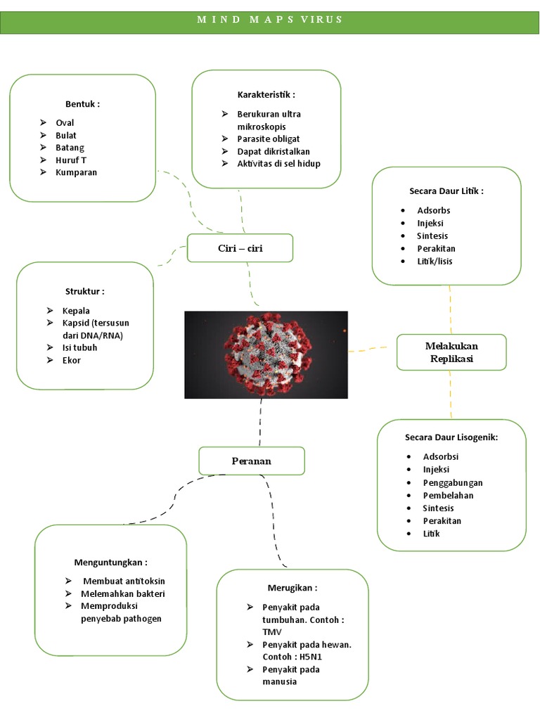 Mind Maps Virus | PDF