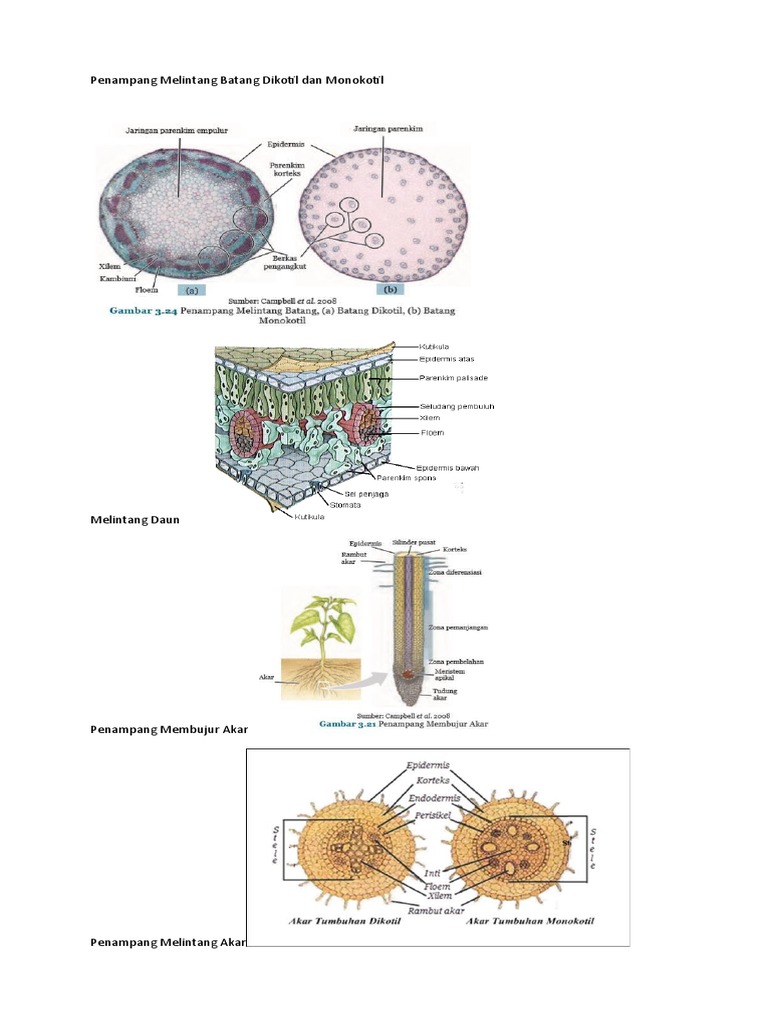 Gambar Penampang Baru | PDF