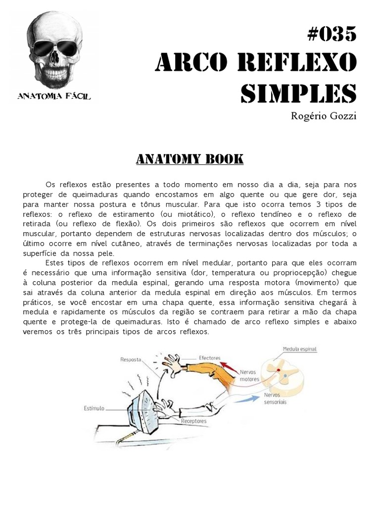 035 Arco Reflexo Simples Anatomy Book | PDF | Músculo | Medula espinhal