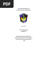 LP Dan Askep Infeksi Saluran Kemih (ISK) | PDF